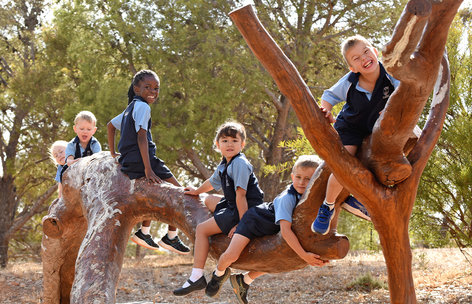 Contact - St John's Lutheran School